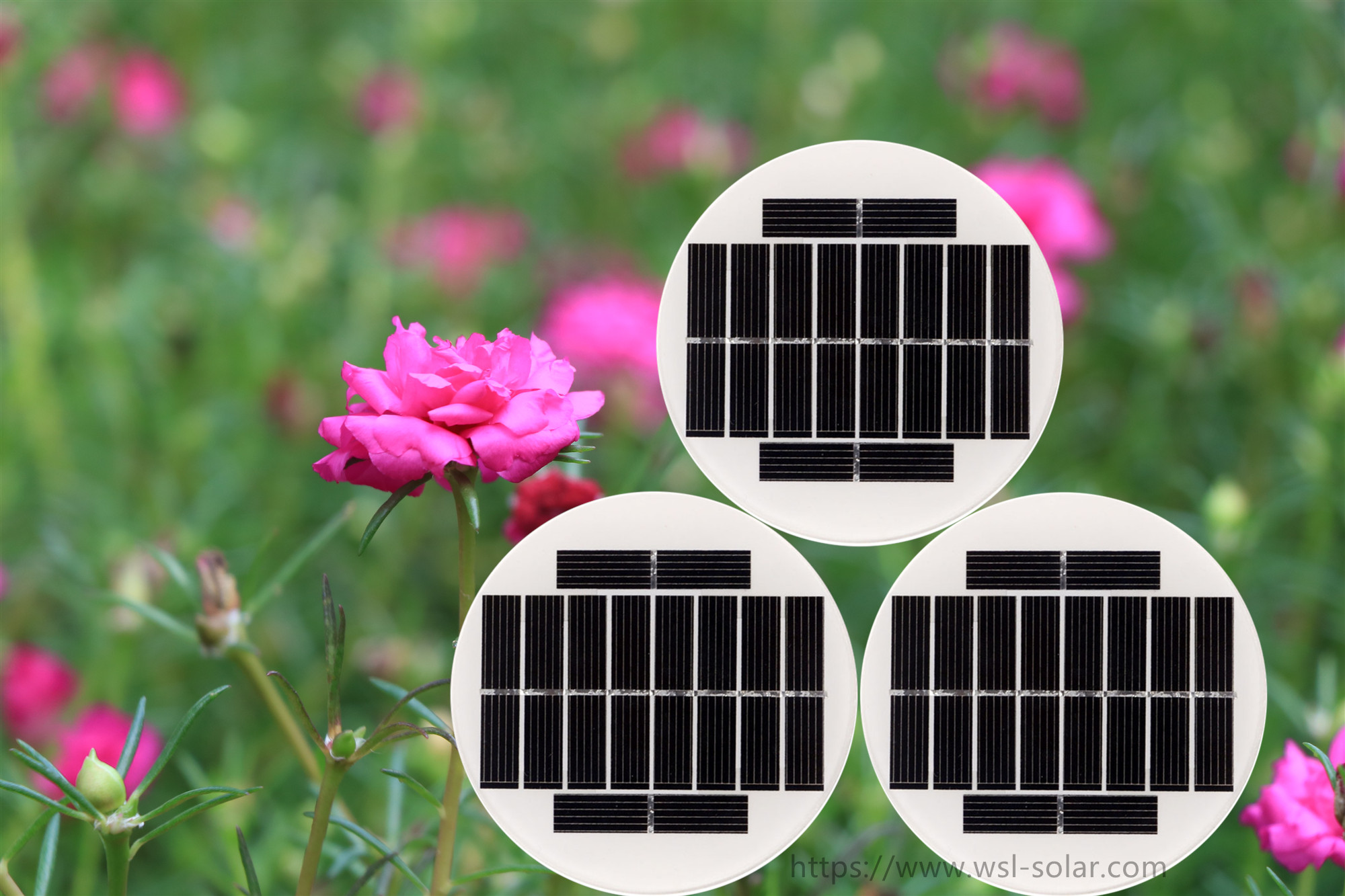 WSL Solar – Quality and Professional Manufacturer of Custom Solar ...